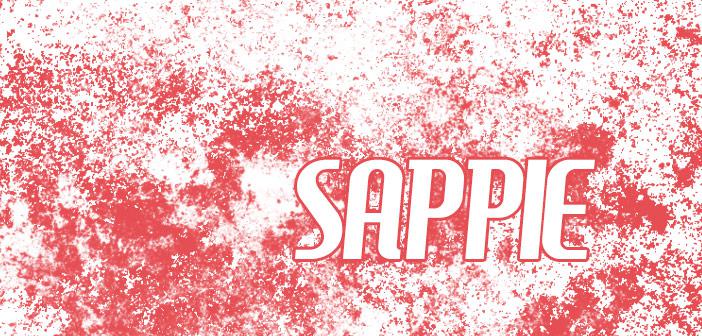 Sappie und Handsappie im Test | Jetzt vergleichen | hoftechnik.com