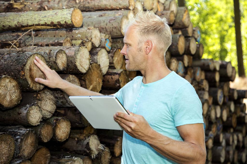 Gewichtseinheiten für Holz | hoftechnik.com